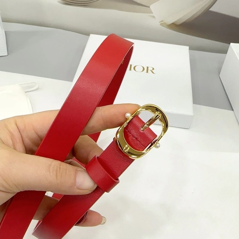 Affordable Christian Dior Belts
