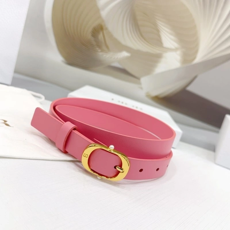 Budget-friendly Christian Dior Belts