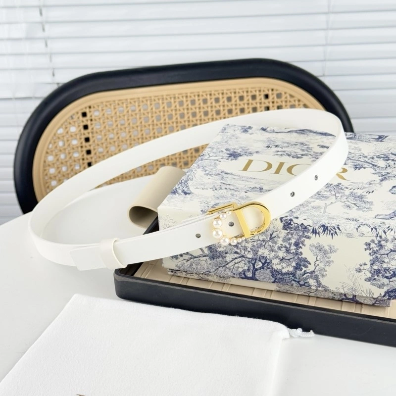 Affordable Christian Dior Belts