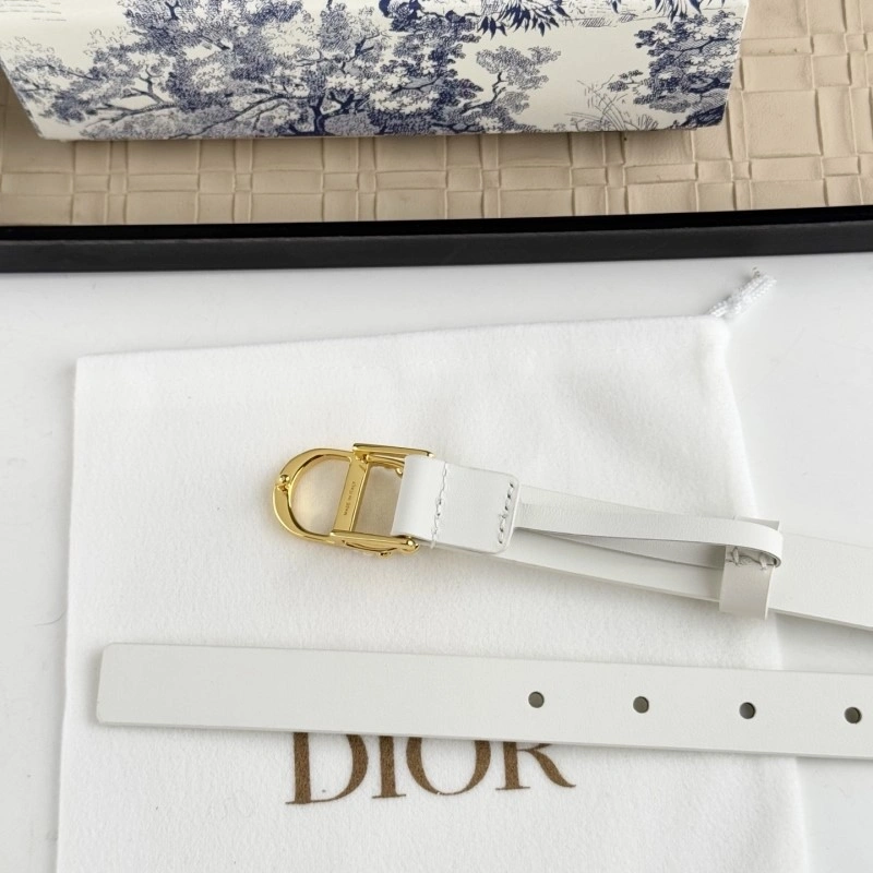 Affordable Christian Dior Belts