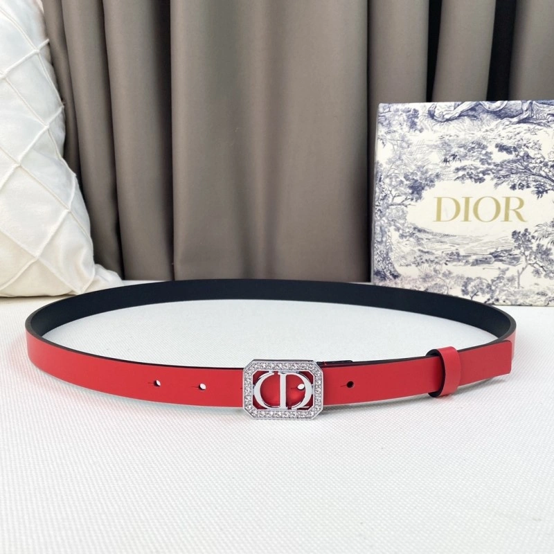 Low-cost Christian Dior Belts