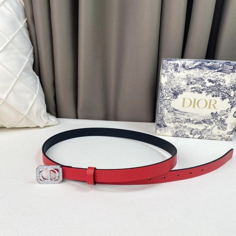 Low-cost Christian Dior Belts