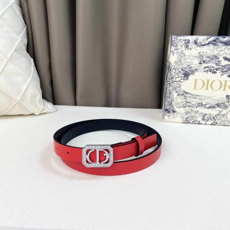 Low-cost Christian Dior Belts