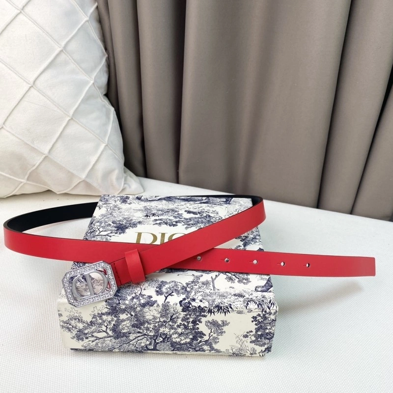 Low-cost Christian Dior Belts