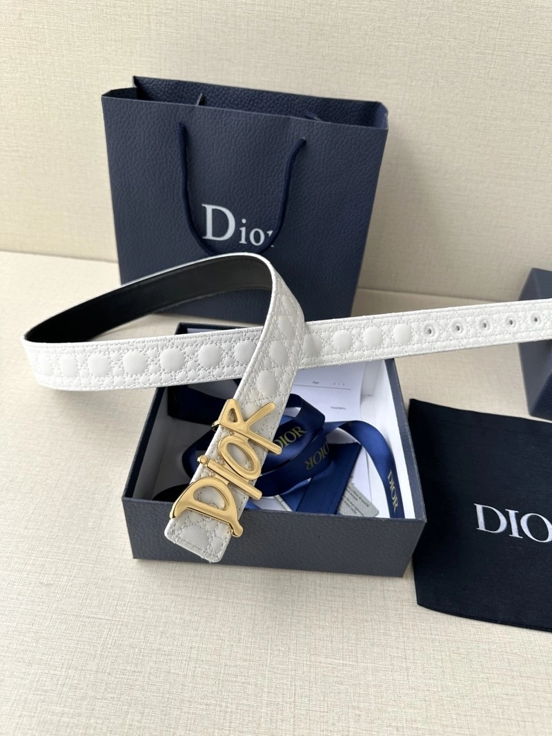 Reasonably priced Christian Dior Belts