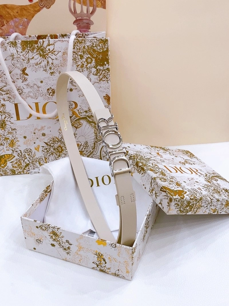 Affordable Christian Dior Belts