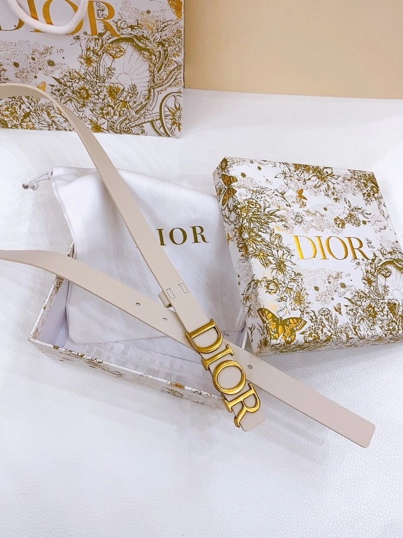 Legit Christian Dior Belts