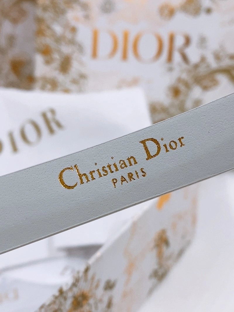 High accuracy Christian Dior Belts