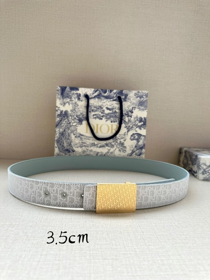 Low-cost Christian Dior Belts
