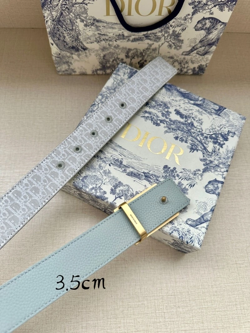 Low-cost Christian Dior Belts