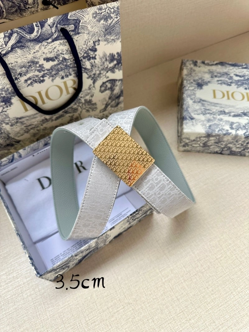Low-cost Christian Dior Belts