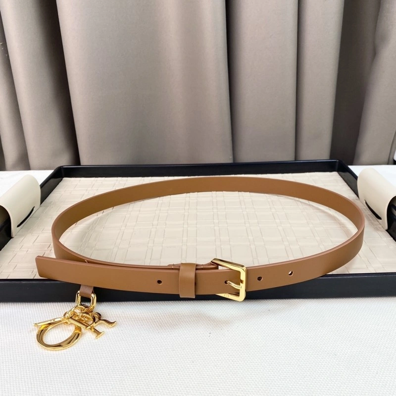 Low-cost Christian Dior Belts