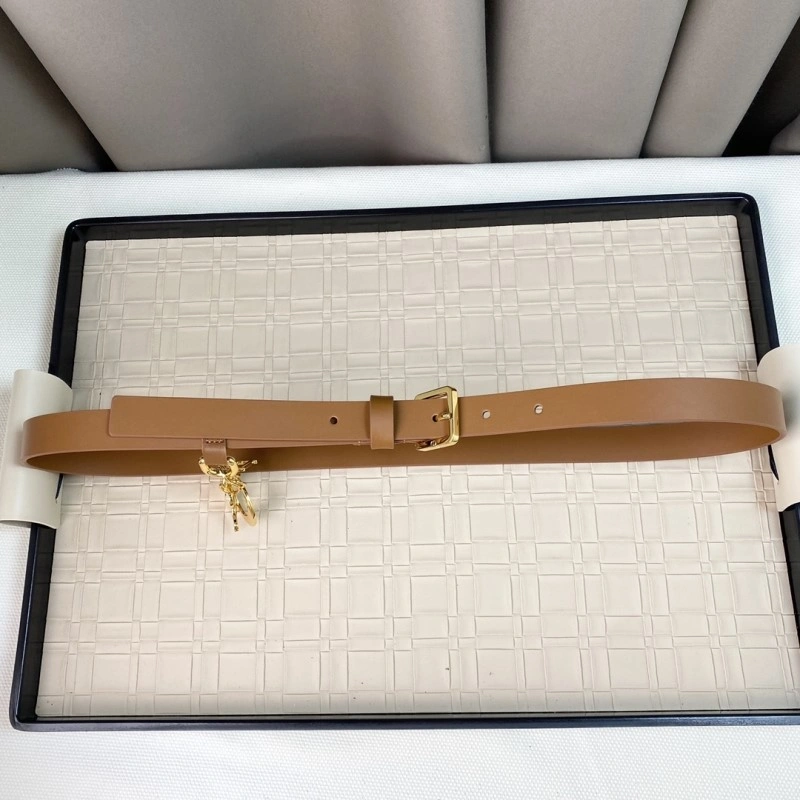 Low-cost Christian Dior Belts