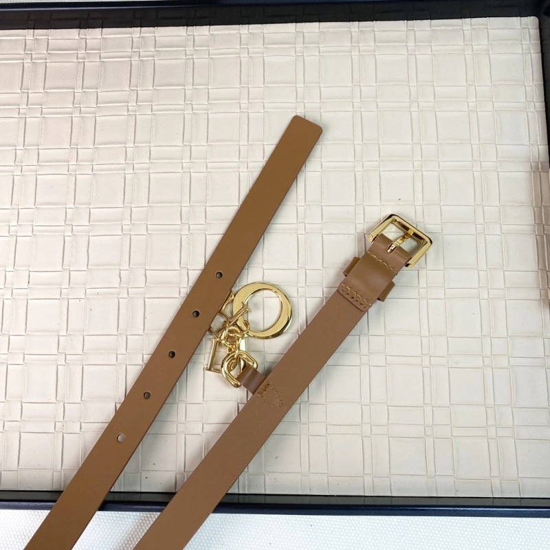 Low-cost Christian Dior Belts