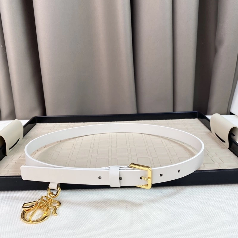 Indistinguishable Christian Dior Belts