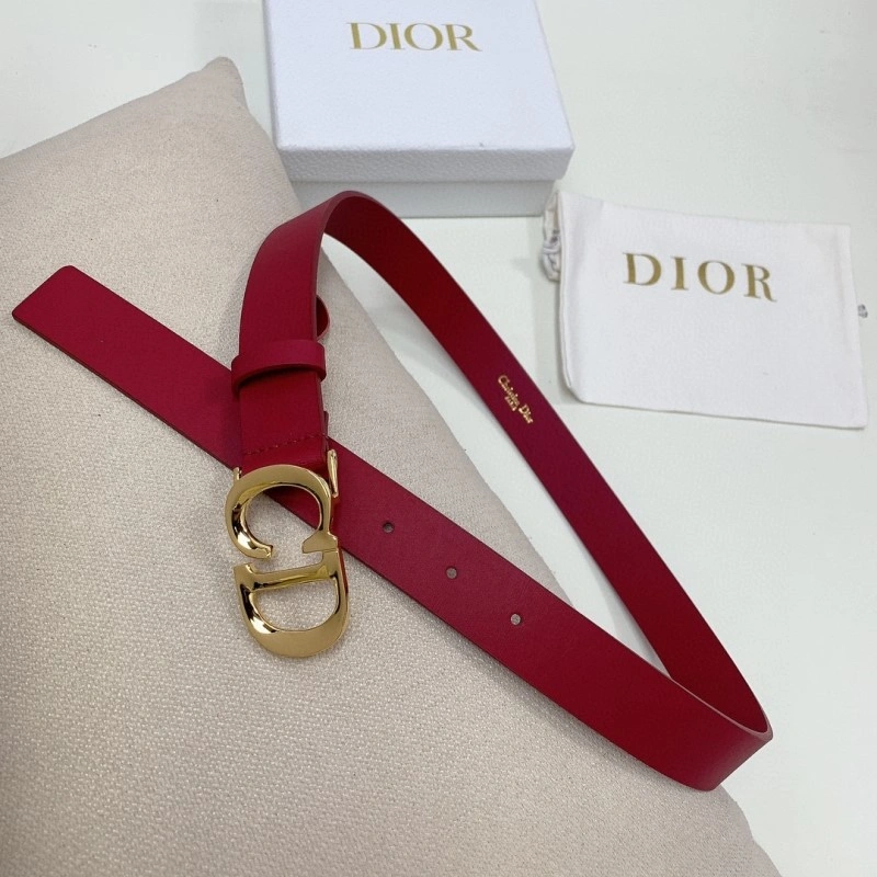 Top mirror Christian Dior Belts