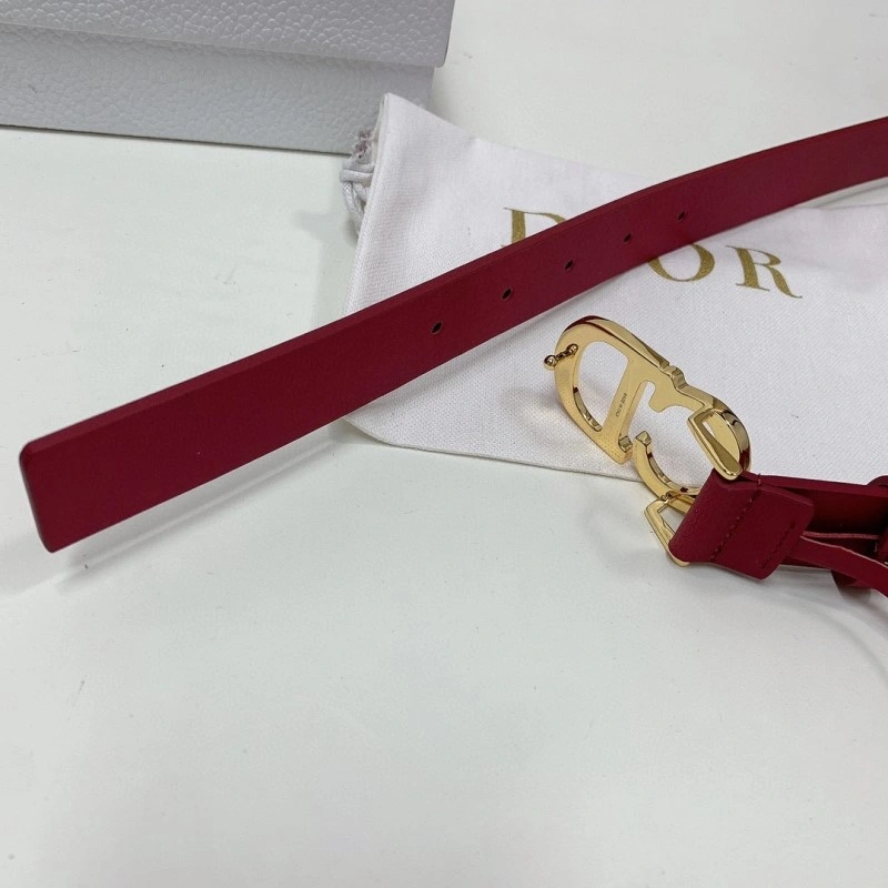 Top mirror Christian Dior Belts