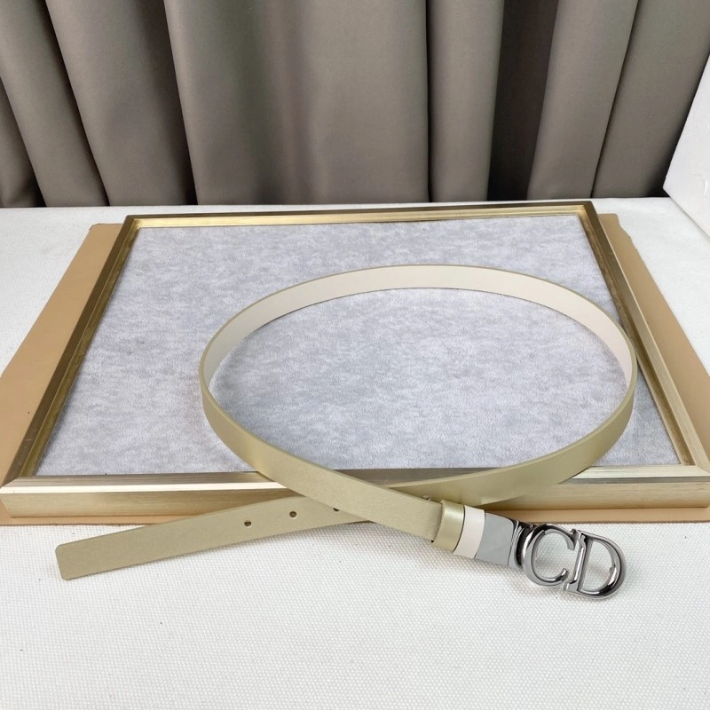 Top mirror Christian Dior Belts