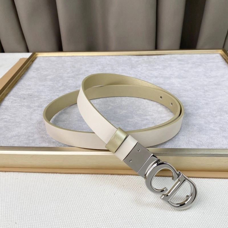 Top mirror Christian Dior Belts