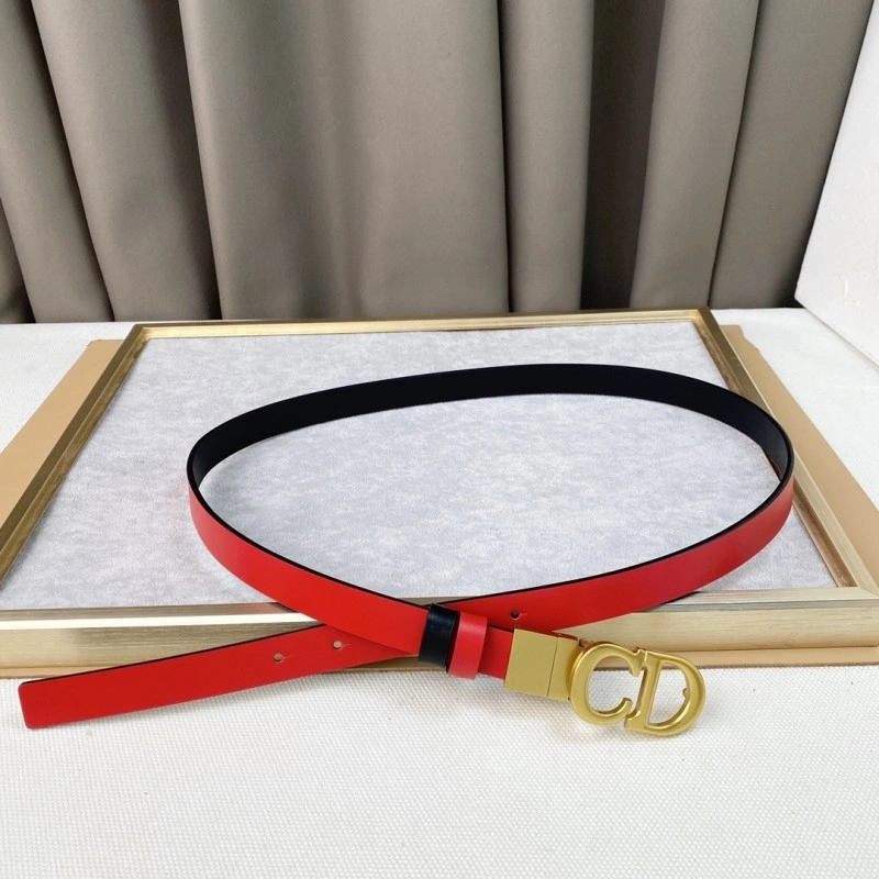 High fidelity Christian Dior Belts