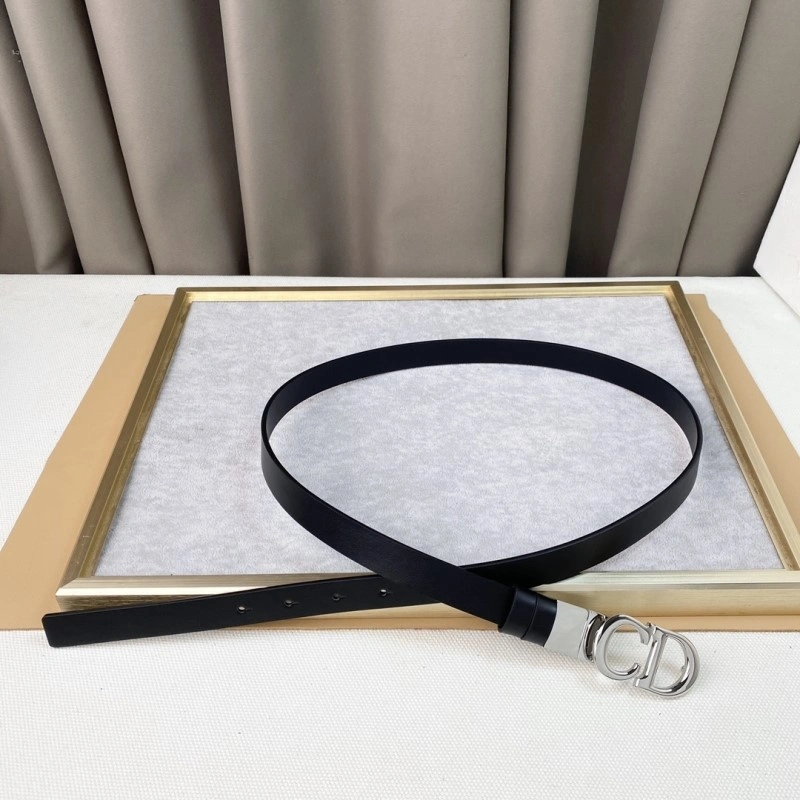 Mirror quality Christian Dior Belts