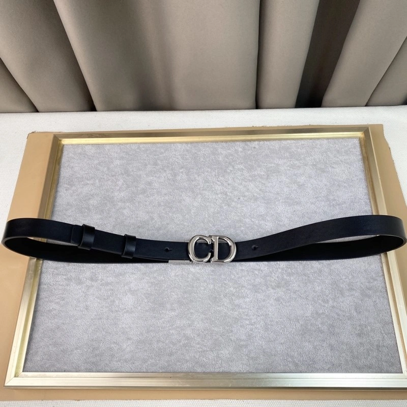 Mirror quality Christian Dior Belts