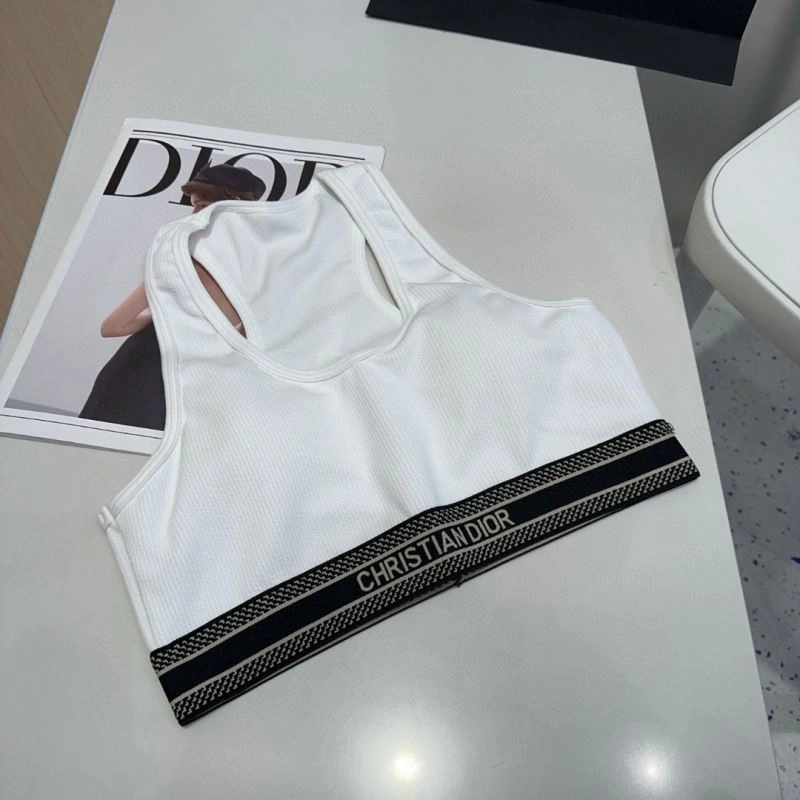 1:1 copy Christian Dior Bikins