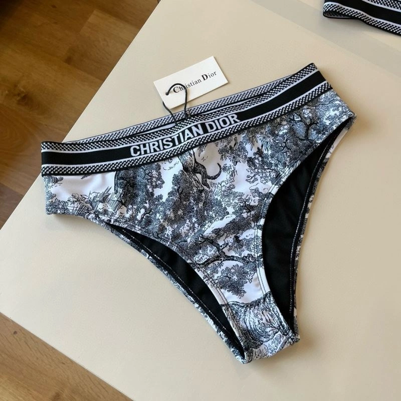 Indistinguishable Christian Dior Bikins