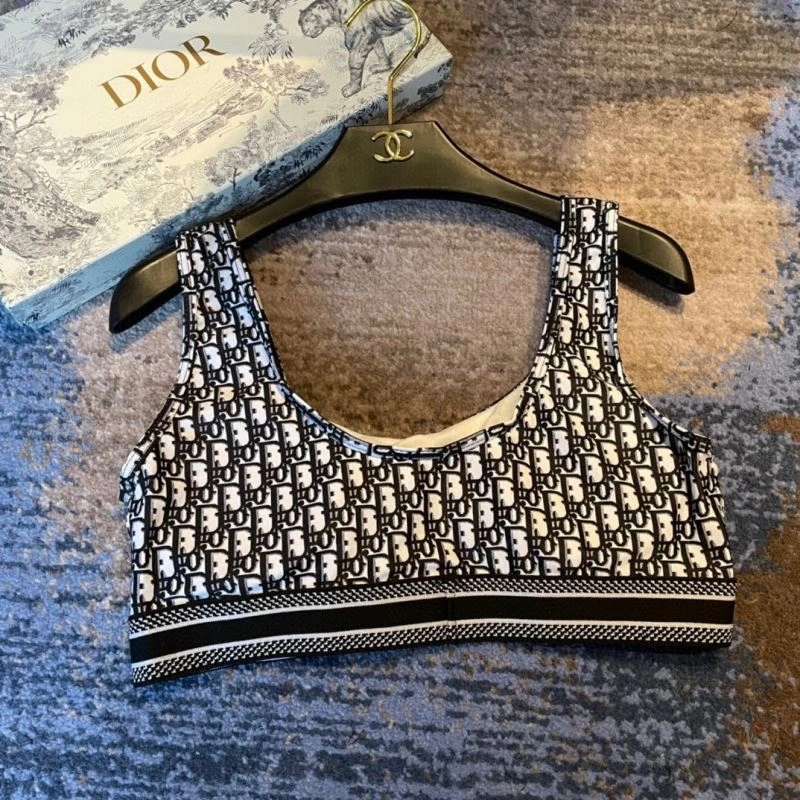 1:1 copy Christian Dior Bikins
