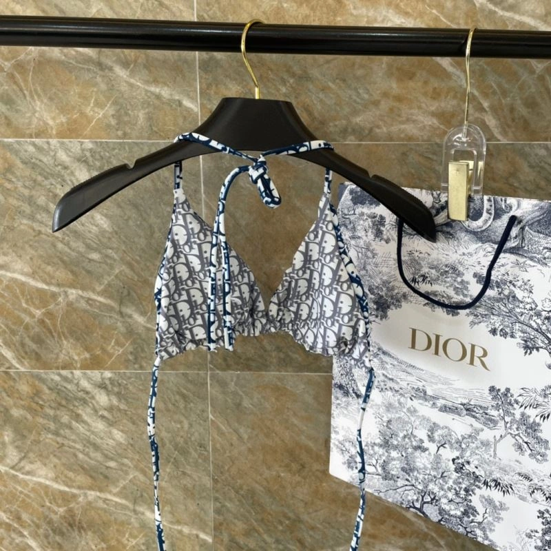 1:1 copy Christian Dior Bikins