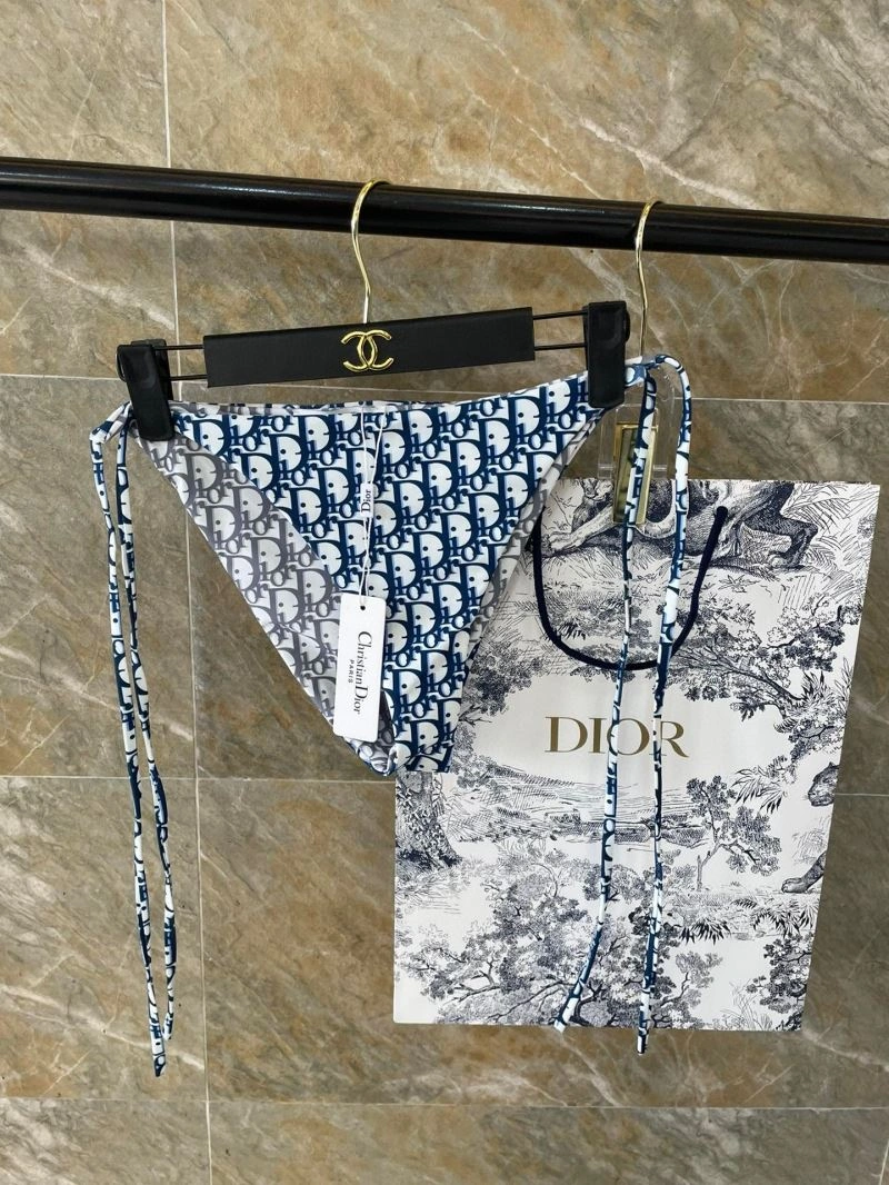 1:1 copy Christian Dior Bikins