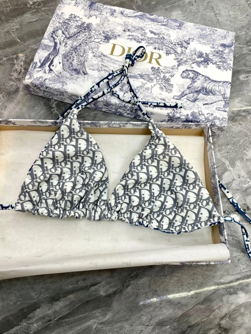 1:1 copy Christian Dior Bikins