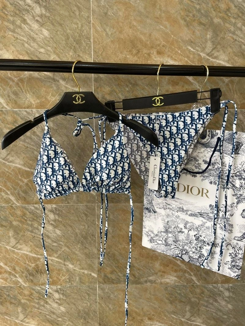 1:1 copy Christian Dior Bikins