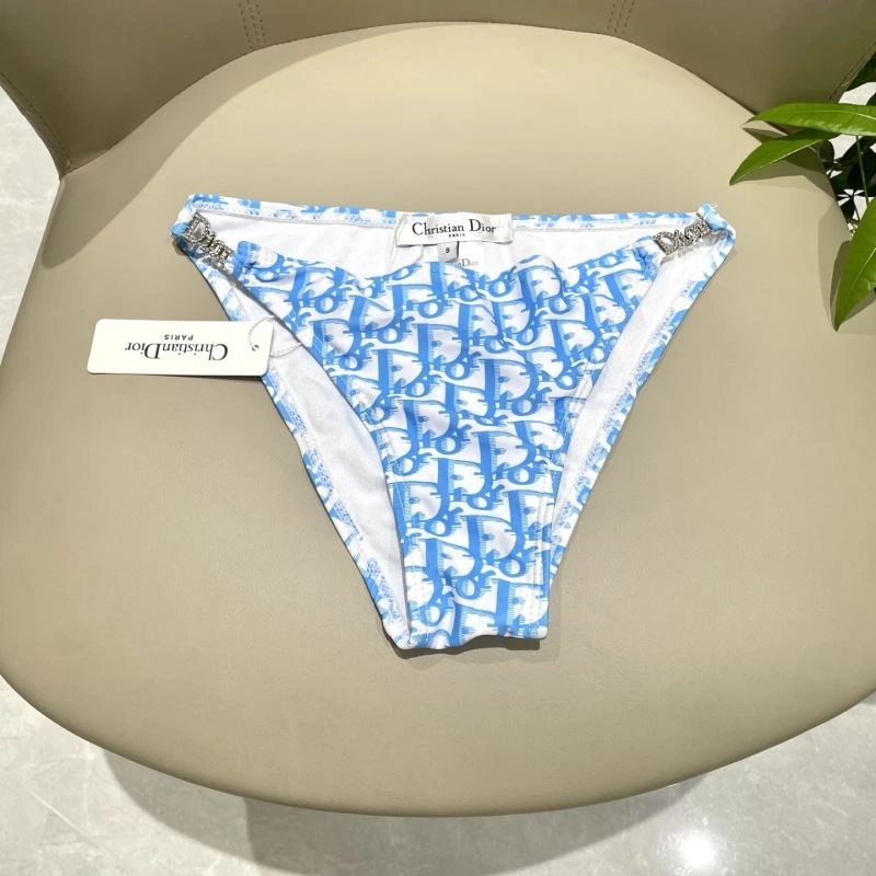 1:1 copy Christian Dior Bikins