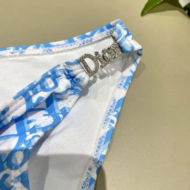 1:1 copy Christian Dior Bikins