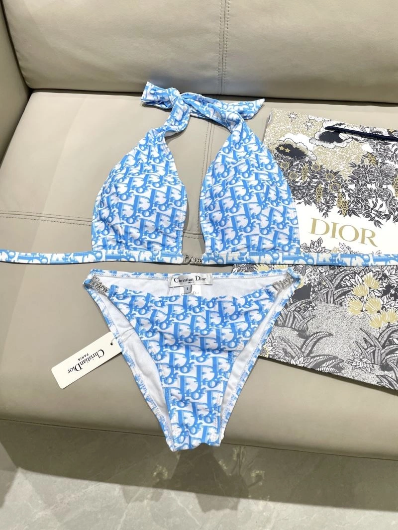 1:1 copy Christian Dior Bikins