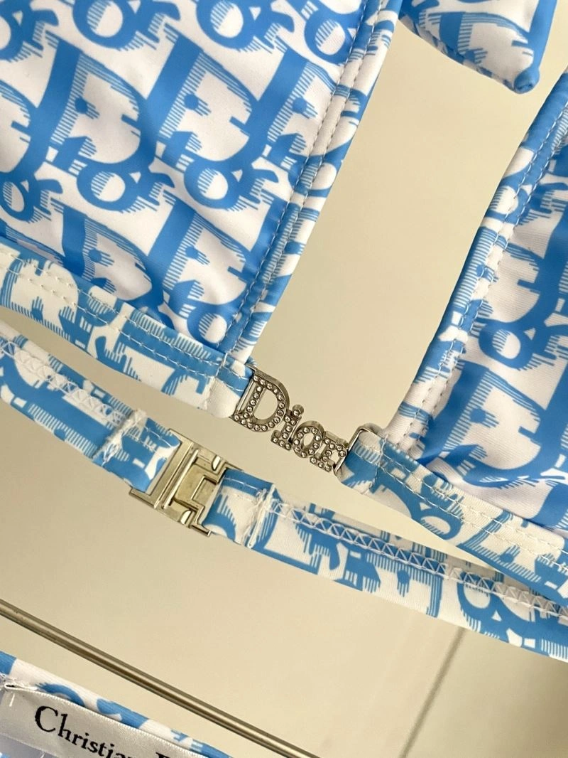 1:1 copy Christian Dior Bikins