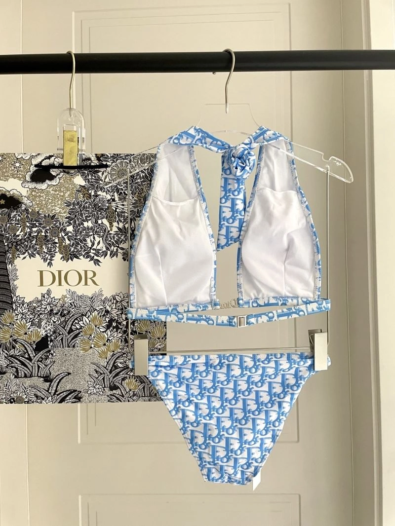 1:1 copy Christian Dior Bikins