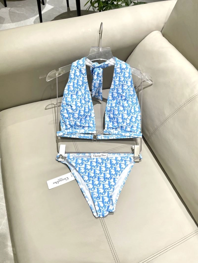 1:1 copy Christian Dior Bikins