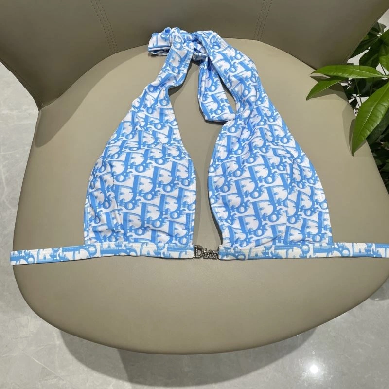 1:1 copy Christian Dior Bikins
