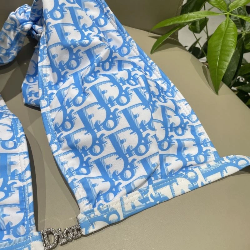 1:1 copy Christian Dior Bikins