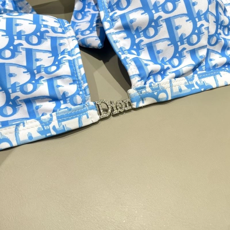 1:1 copy Christian Dior Bikins