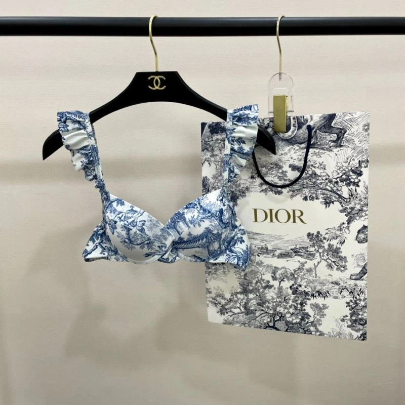 Official Christian Dior Bikins
