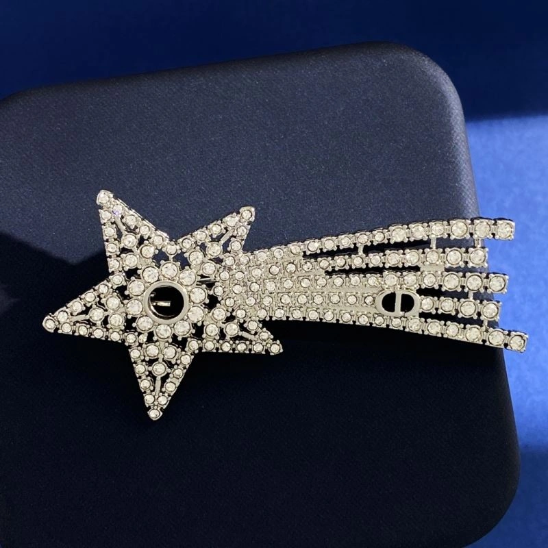 Accurate model Christian Dior Brooches