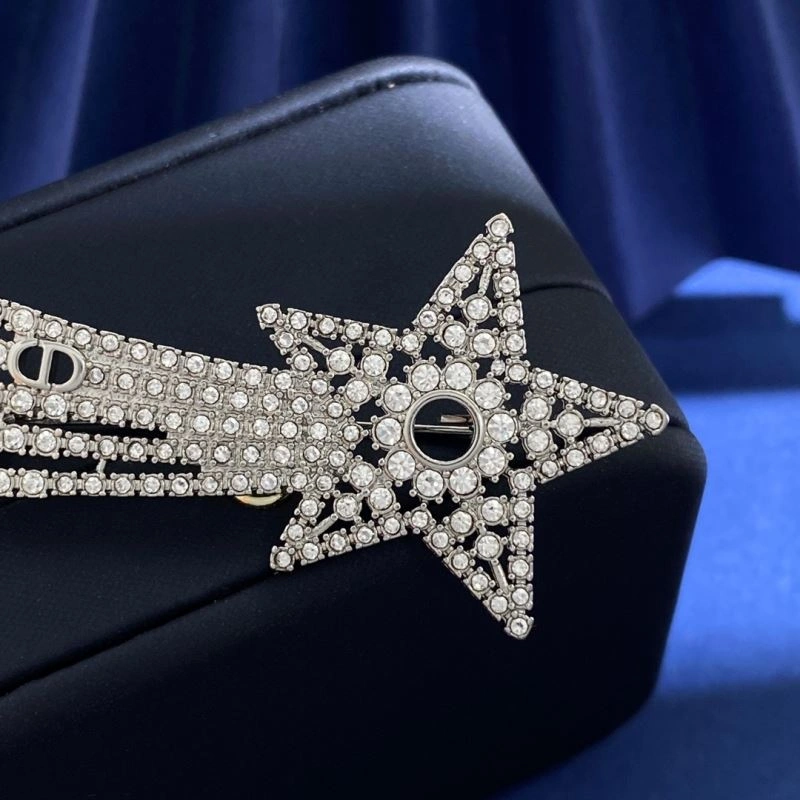 Accurate model Christian Dior Brooches
