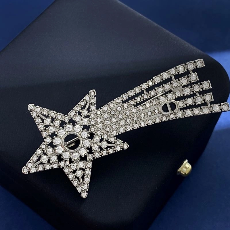 Accurate model Christian Dior Brooches