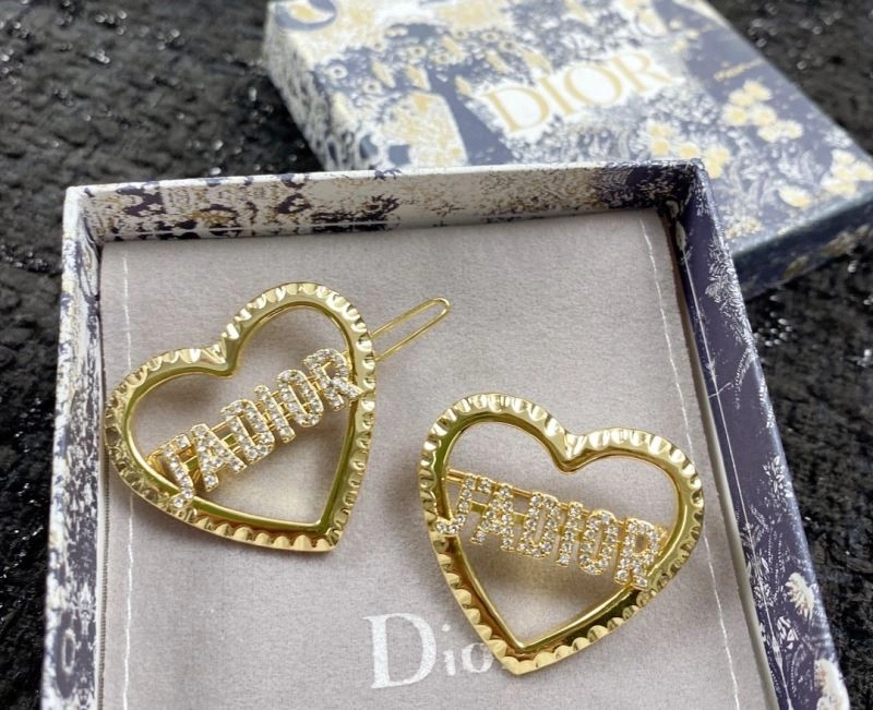 Top match Christian Dior Brooches