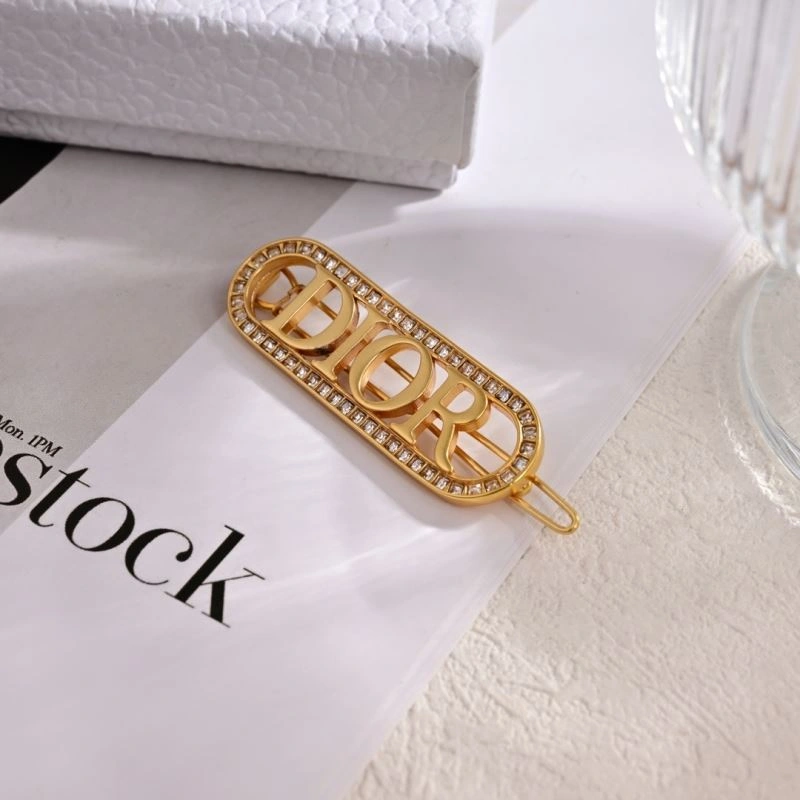 Accurate model Christian Dior Brooches