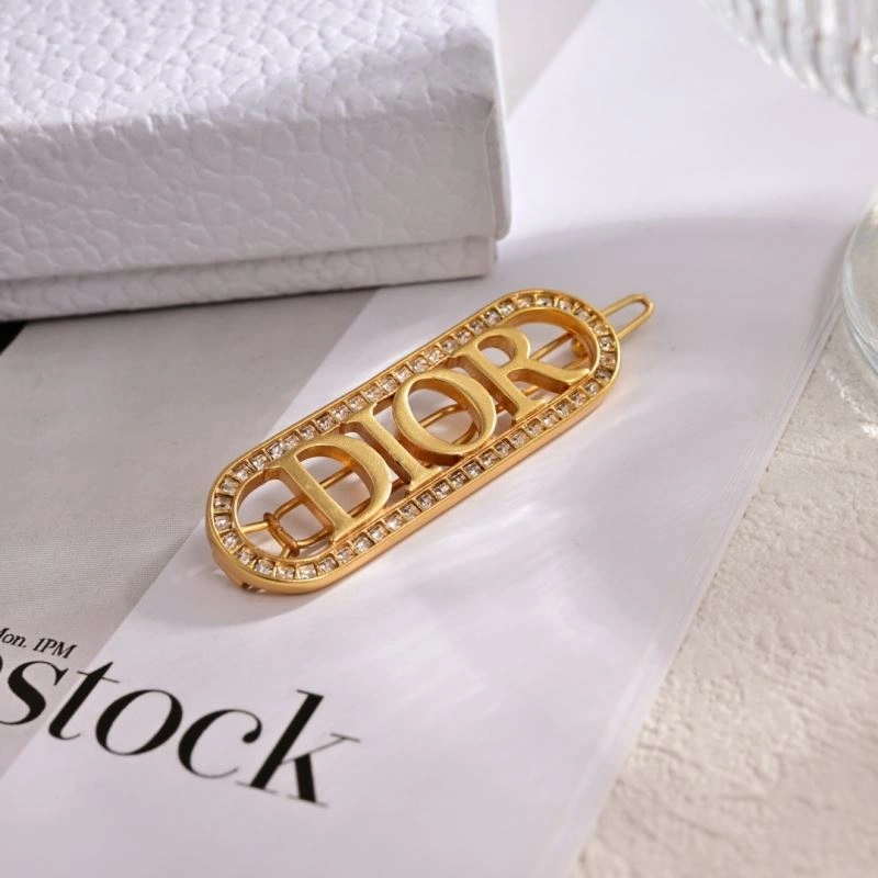 Accurate model Christian Dior Brooches