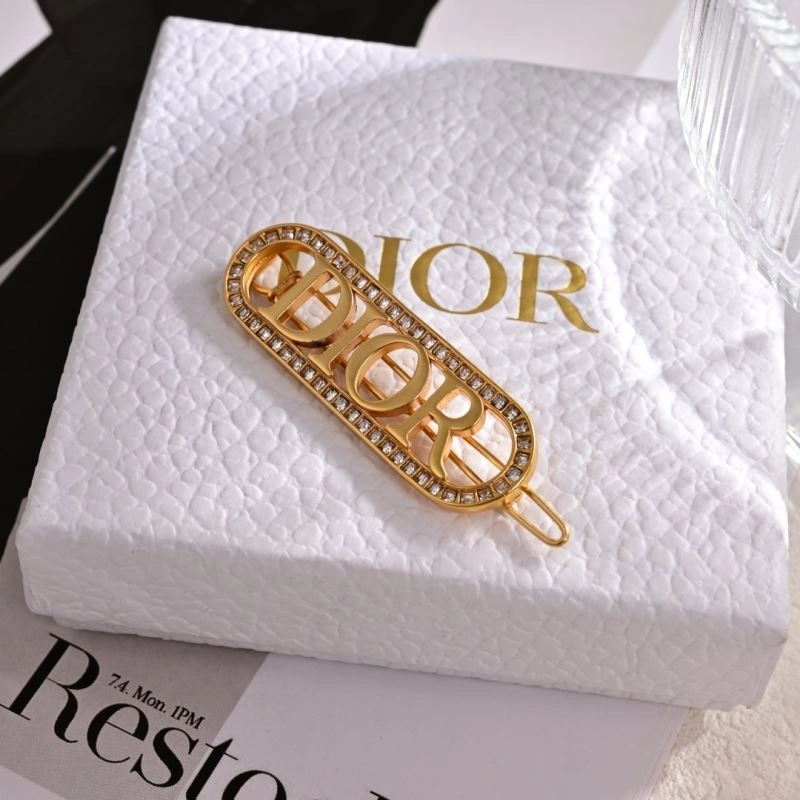 Accurate model Christian Dior Brooches